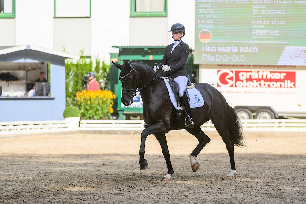 Über uns – S-Dressage
